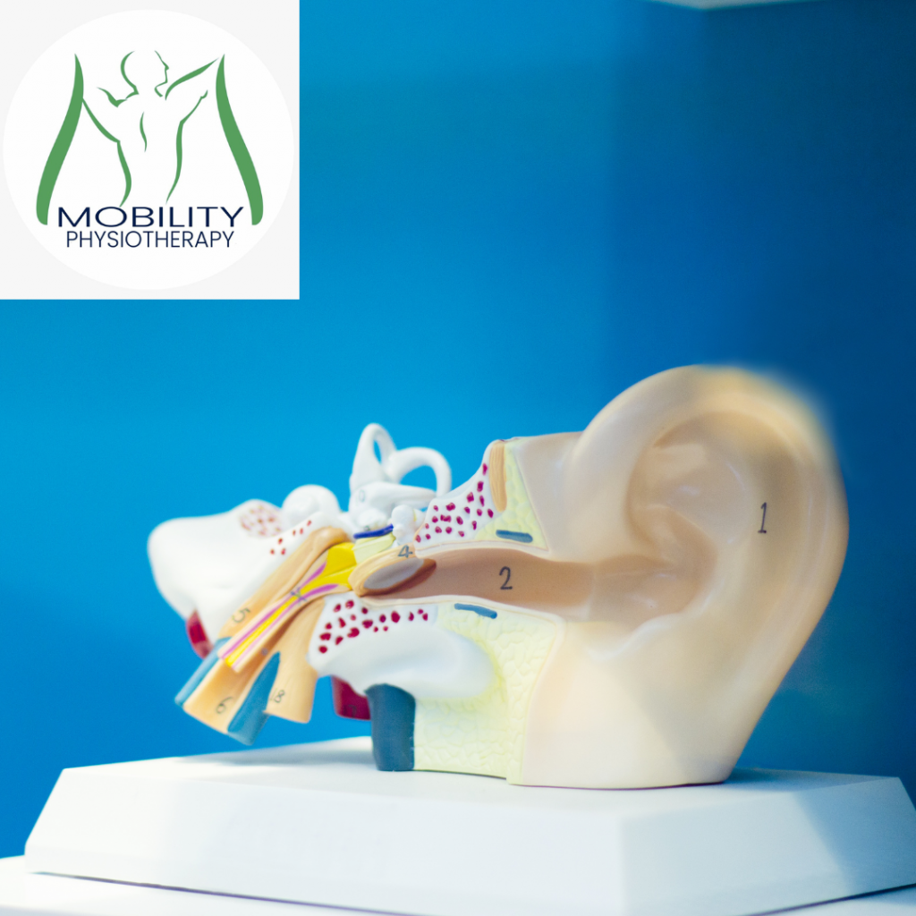 What is Physiotherapy and how can it help me? » Mobility Physiotherapy Ltd